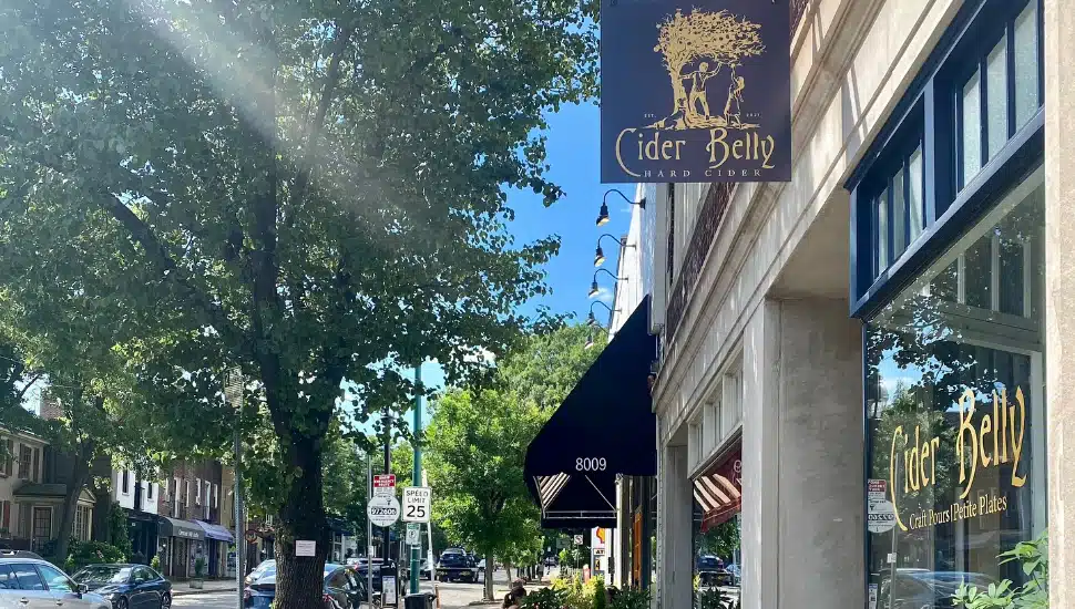 A Chestnut Hill Cidery Named Top 5 Cidery in the Nation by USA Today ...